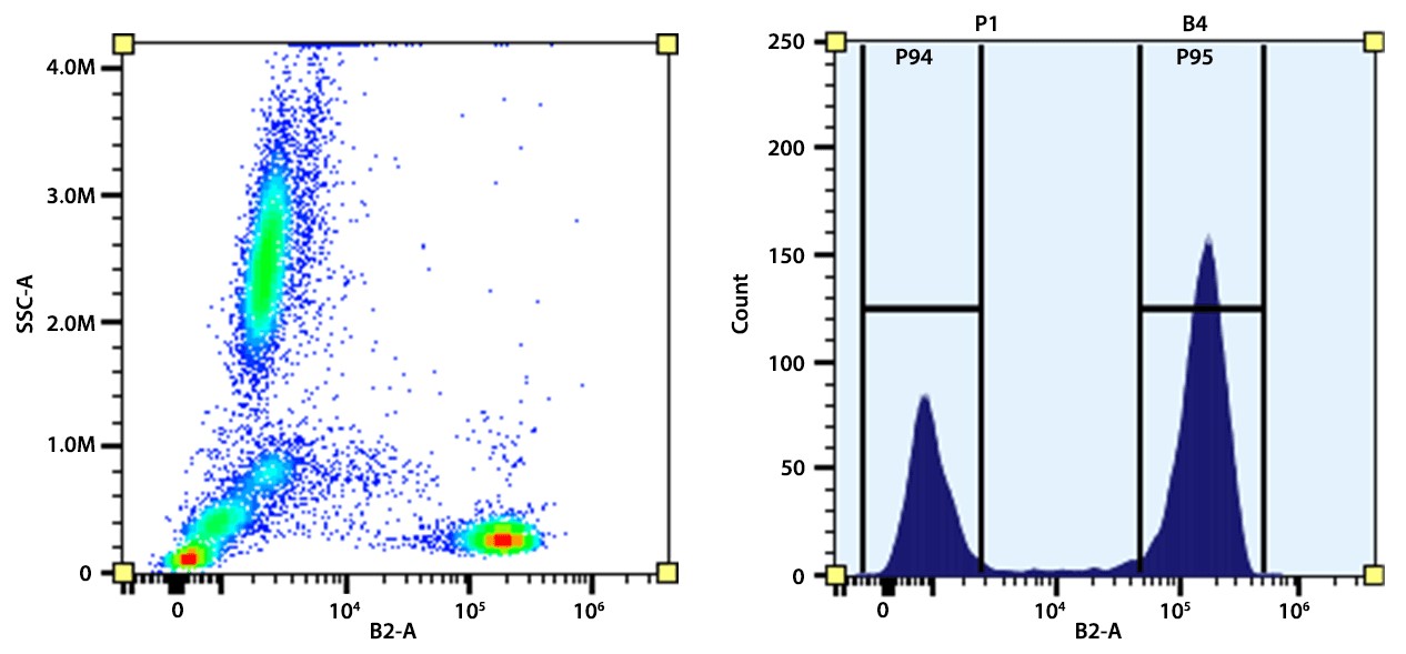 Applications of TBNK Antibody Kits & Newest Improvement on Current Standards | AAT Bioquest